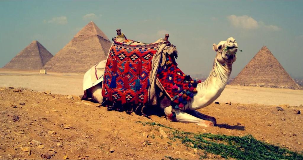 Explore the breathtaking Liwa Desert from your desk at home, must see ...