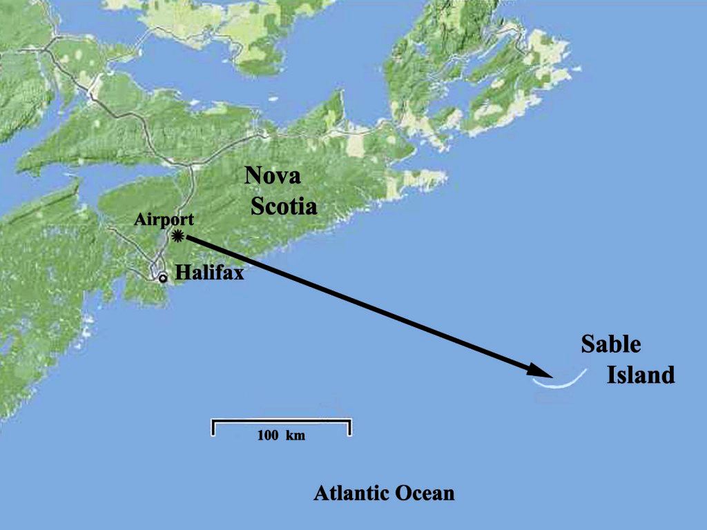 Sable Island, the graveyard of the Atlantic and home to over 400 wild ...